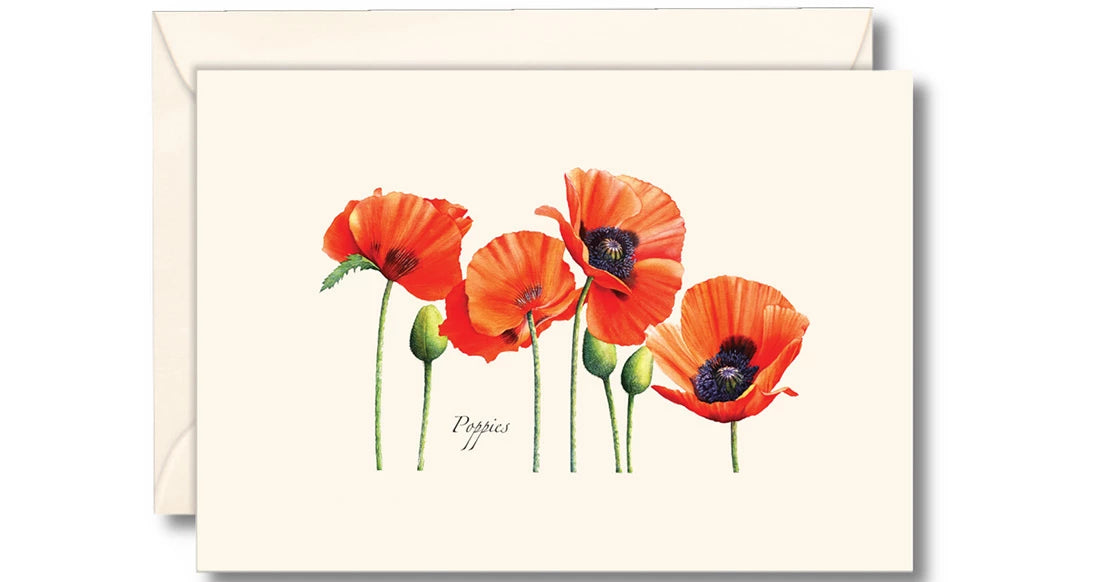 Boxed Notes – Merrymaker Fine Paper