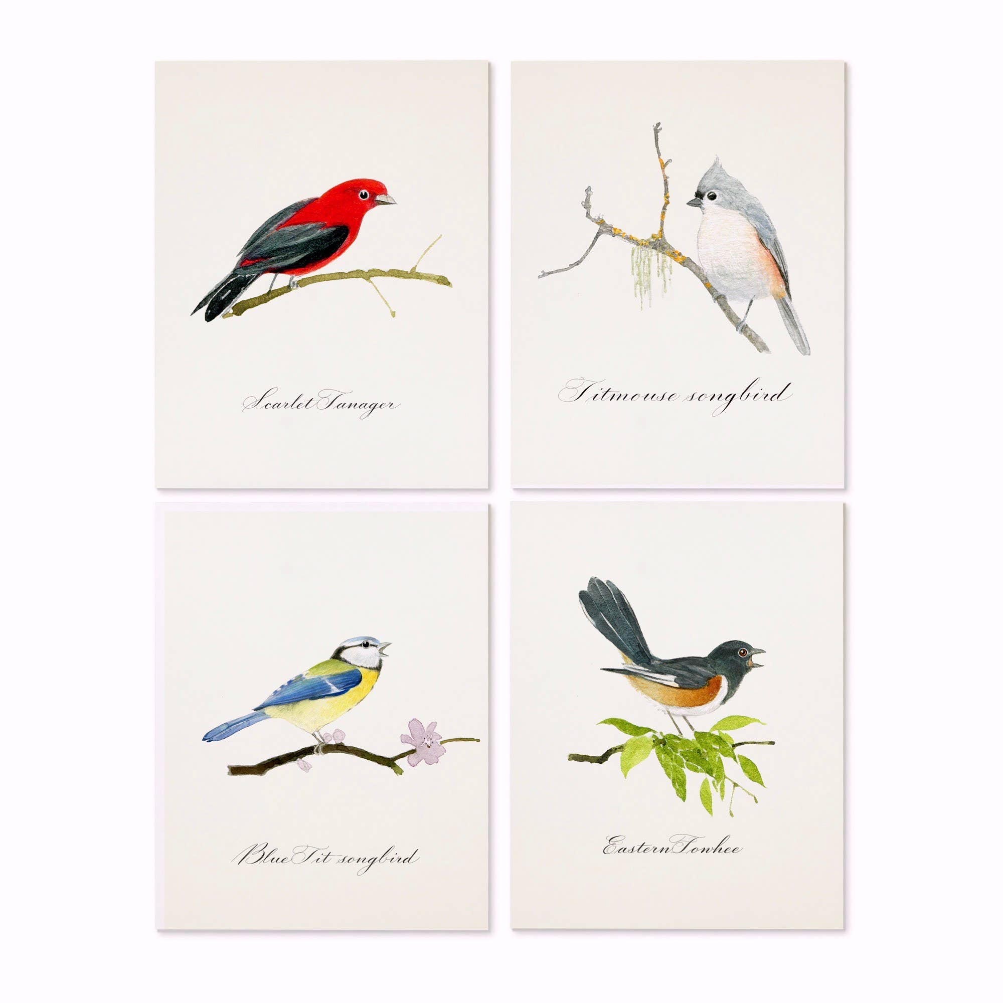 Songbirds -- Note Set - Bird themed cards, boxed – Merrymaker Fine Paper