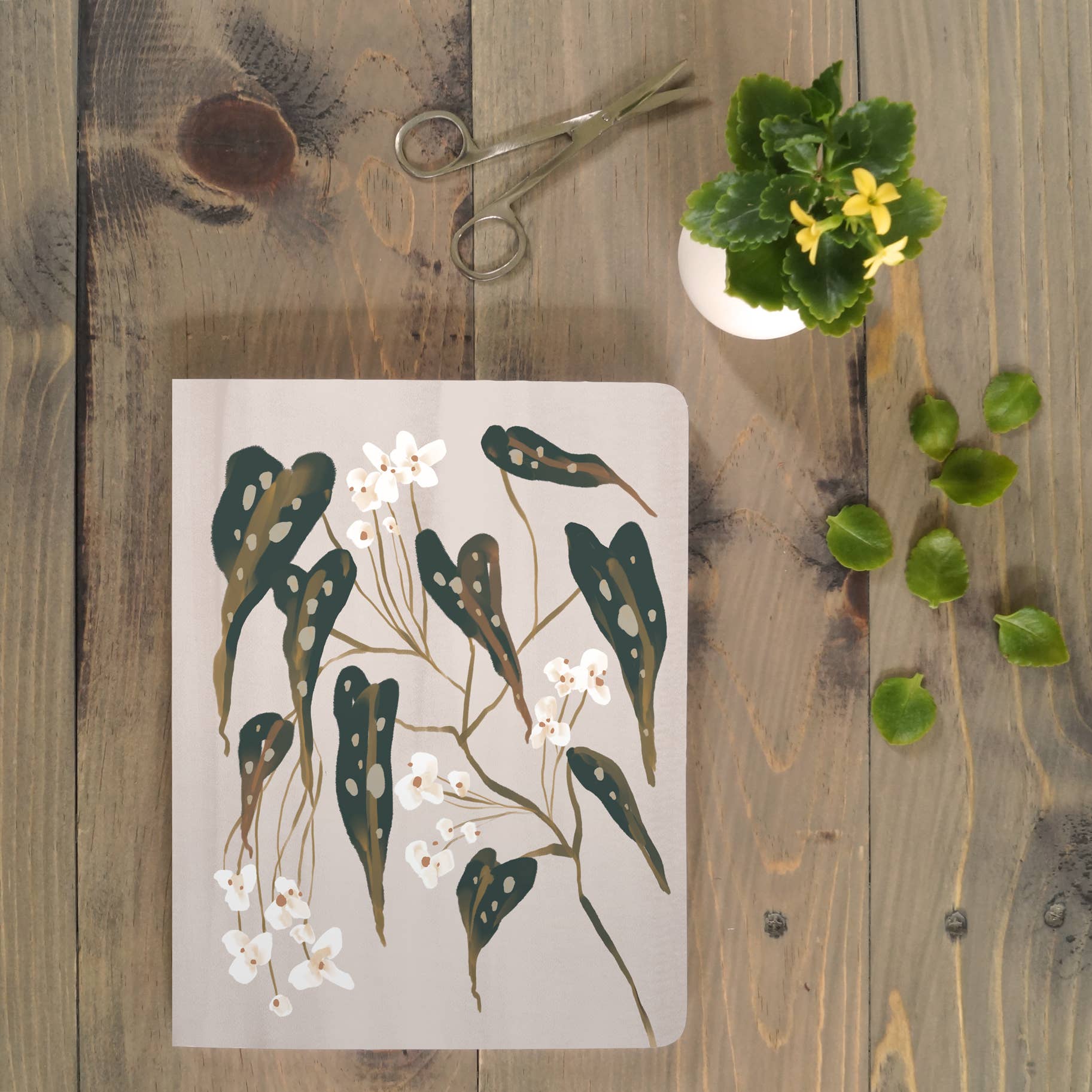 Begonia Plant medium layflat notebook – Merrymaker Fine Paper