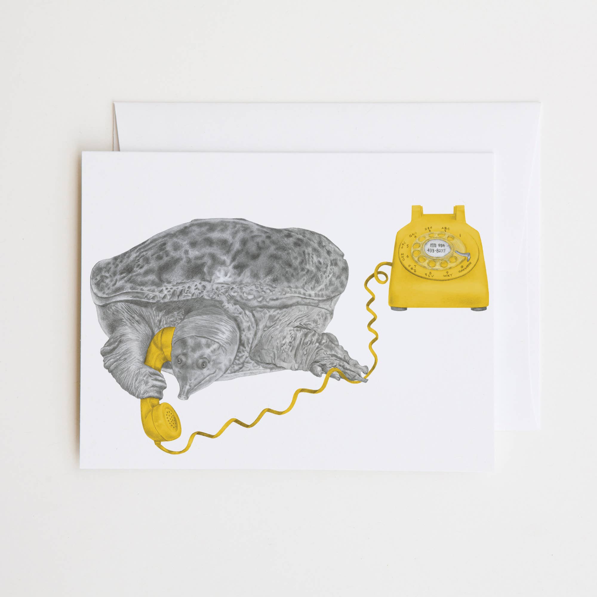 Otis Idlewood Florida Softshell Turtle Greeting Card – Merrymaker Fine ...