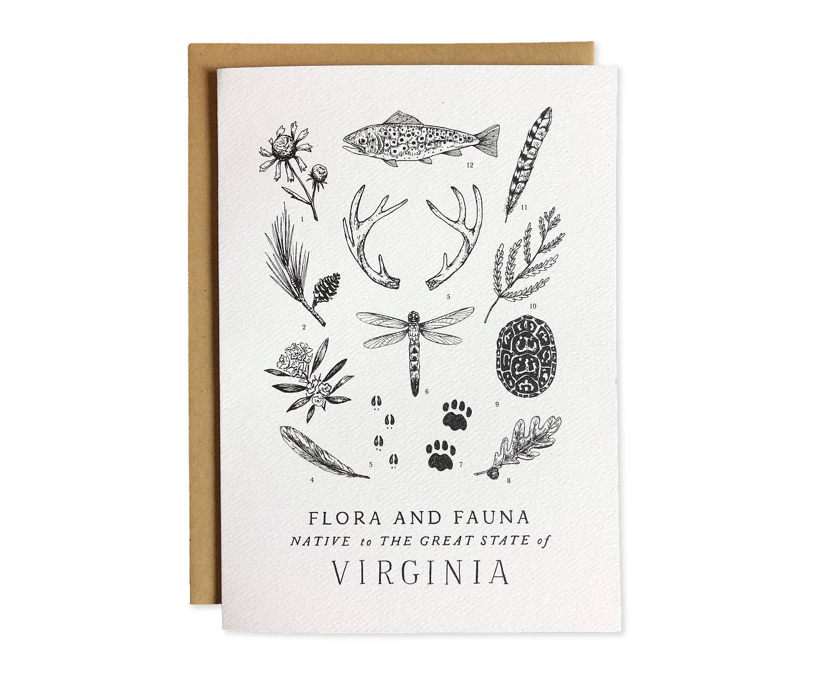 Virginia Field Guide Greeting Card – Merrymaker Fine Paper