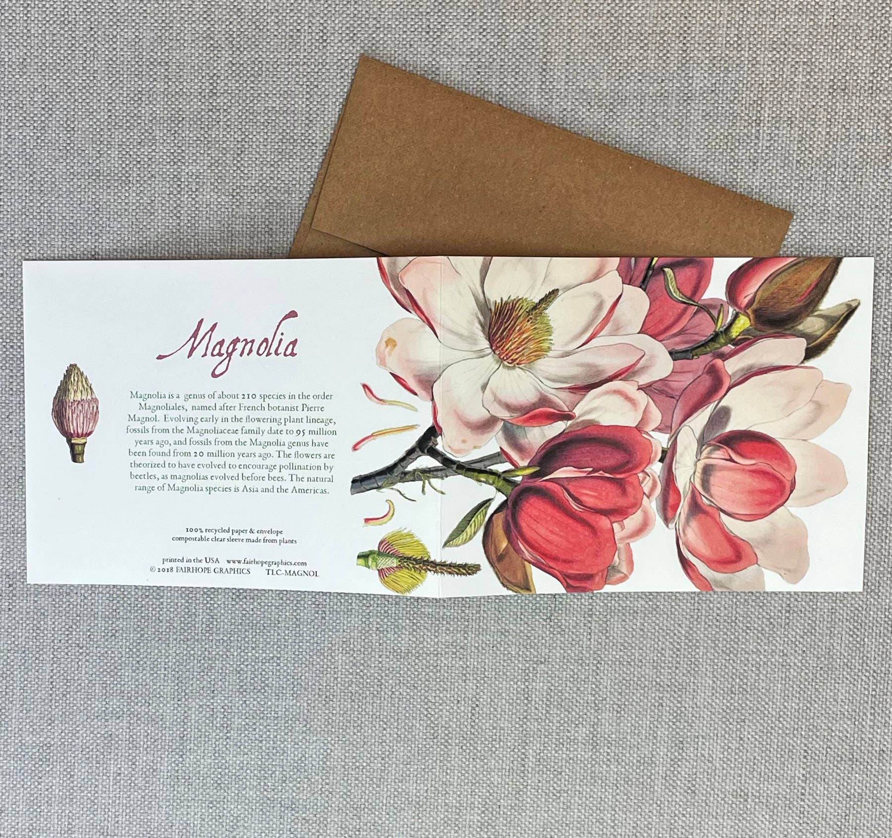 Magnolia Card – Merrymaker Fine Paper