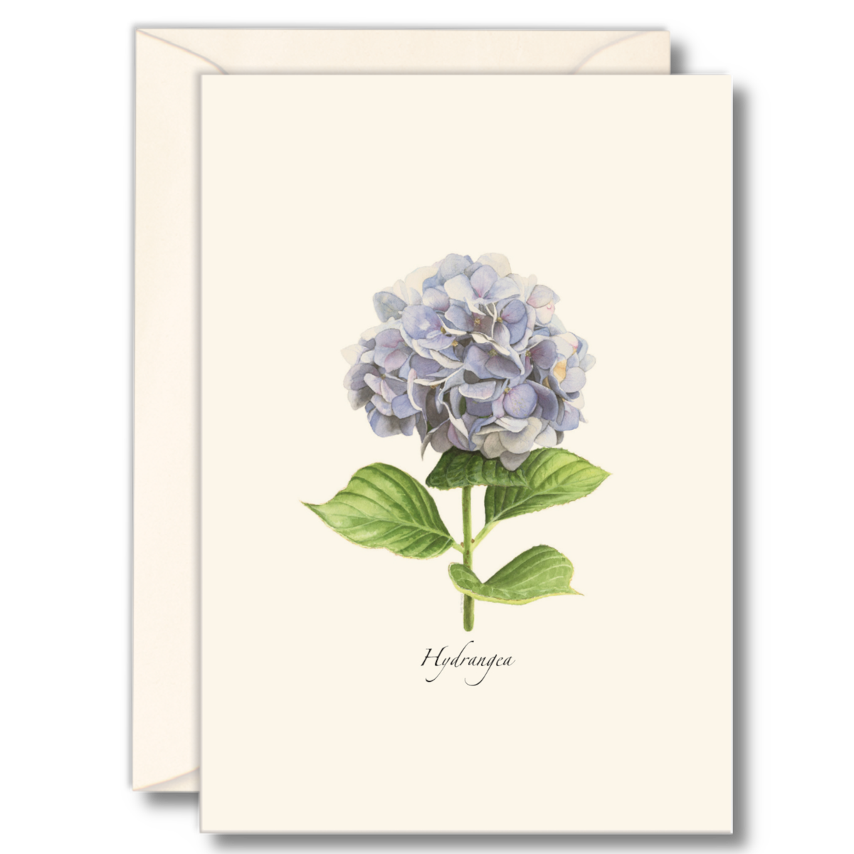 Hydrangea – Merrymaker Fine Paper