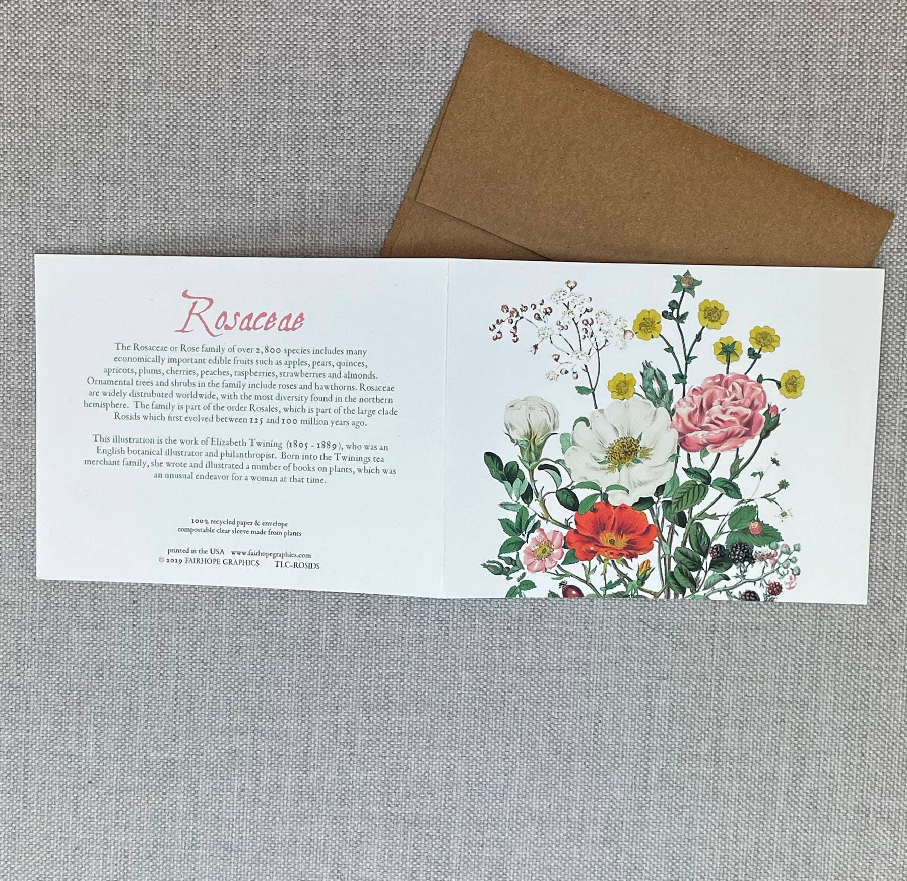 Roses Card – Merrymaker Fine Paper