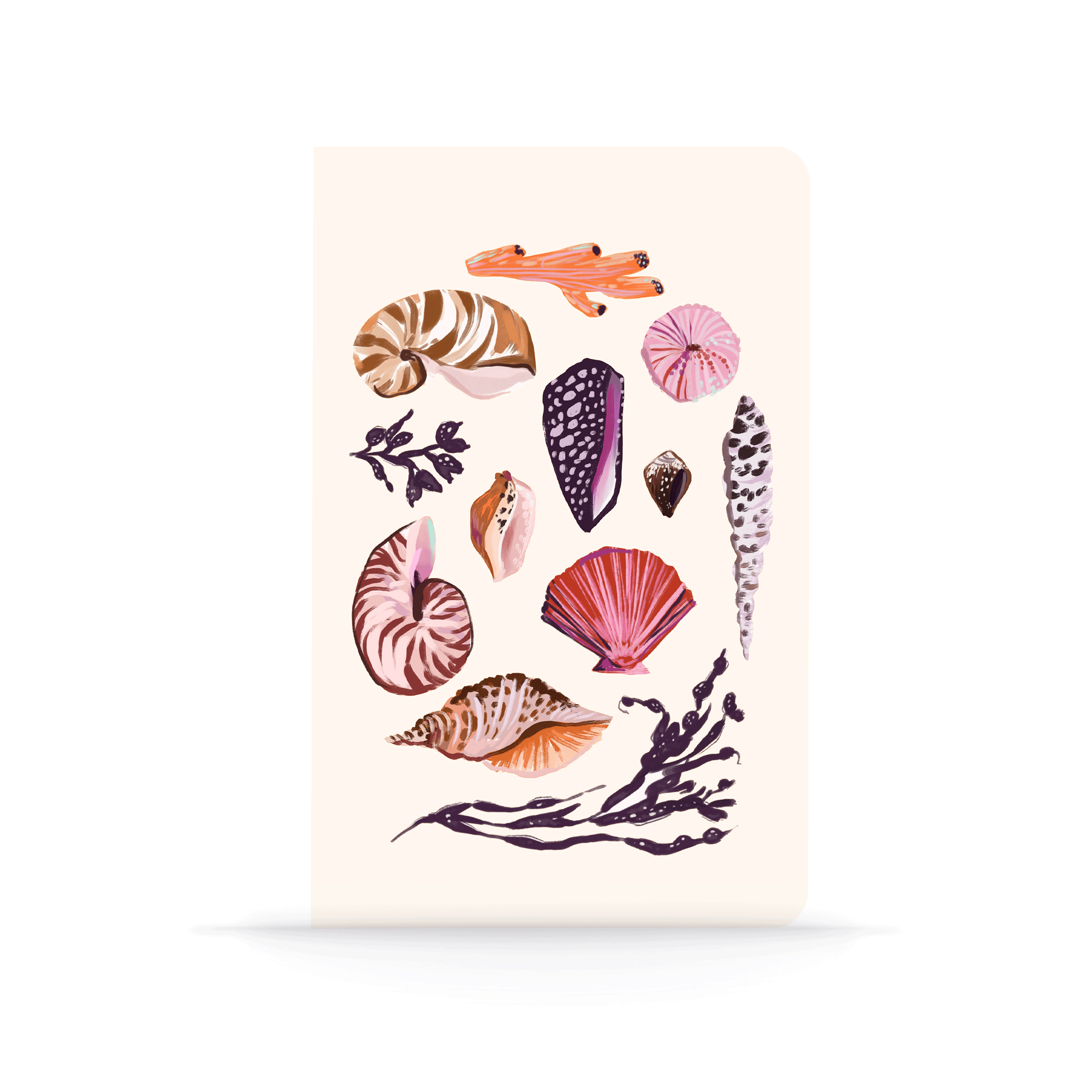 Seashells Notebook – Merrymaker Fine Paper