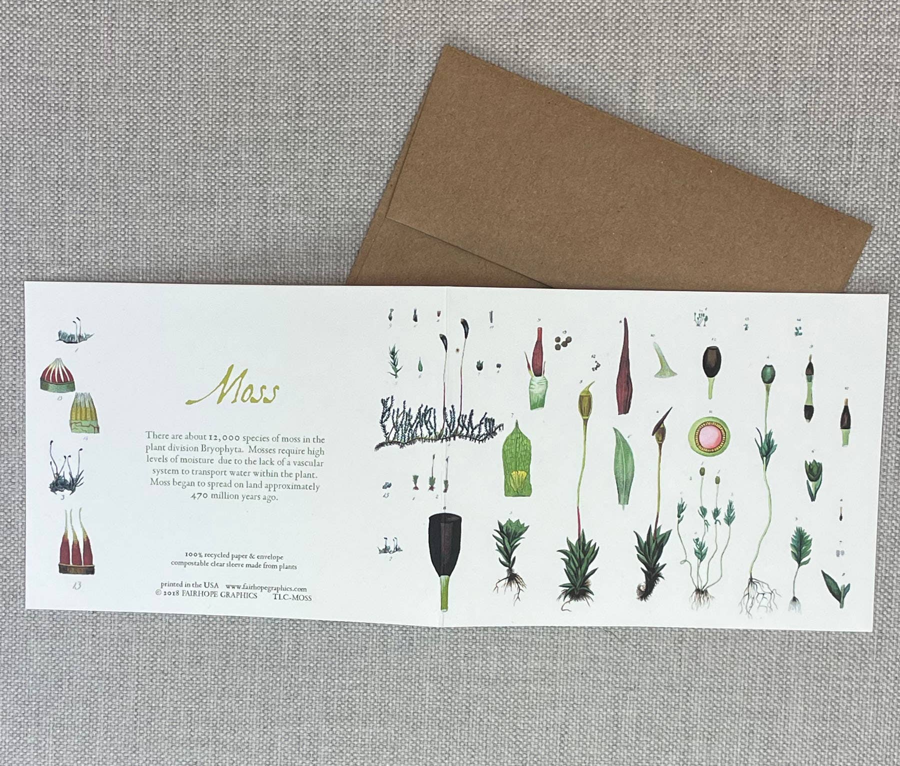 Moss Card – Merrymaker Fine Paper