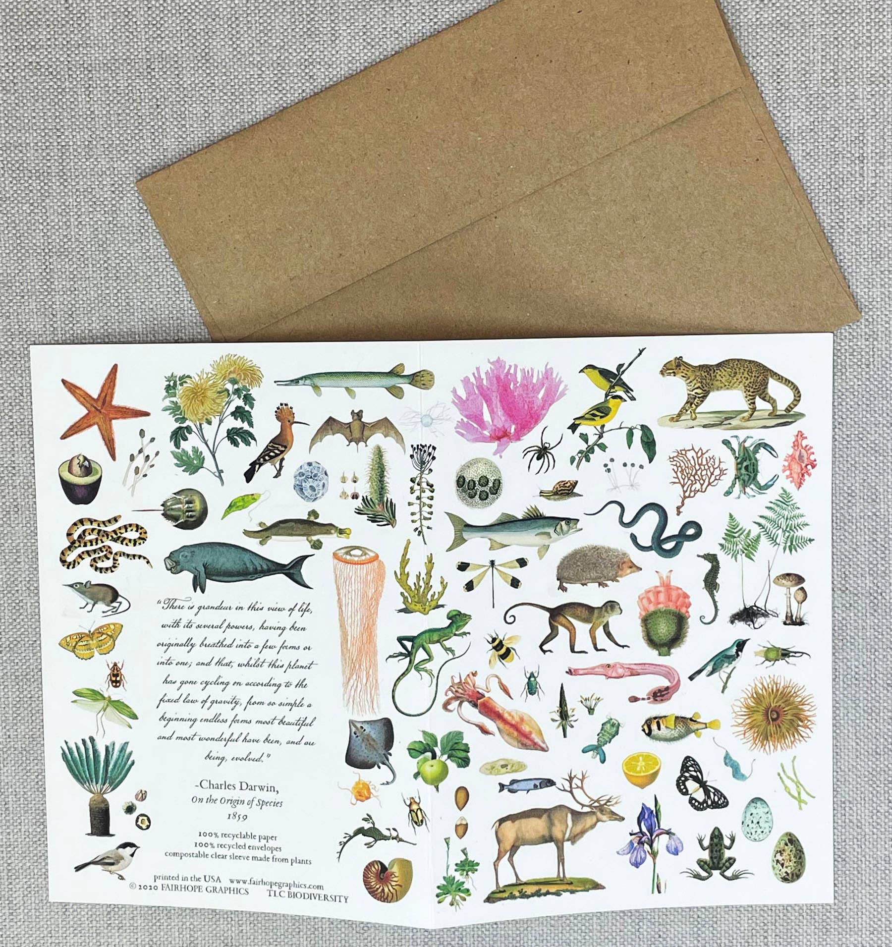 Biodiversity Card – Merrymaker Fine Paper