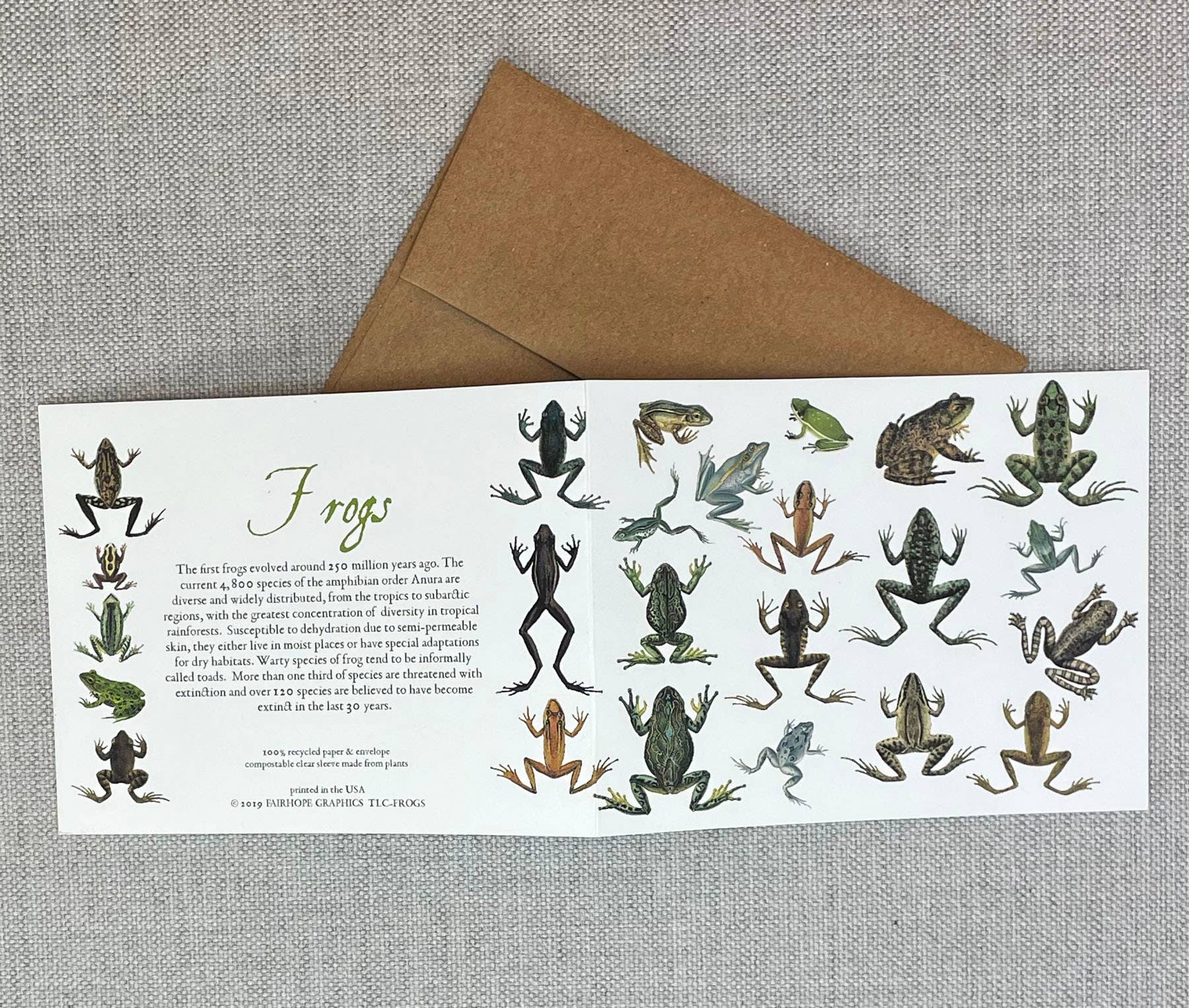 Frogs Card – Merrymaker Fine Paper