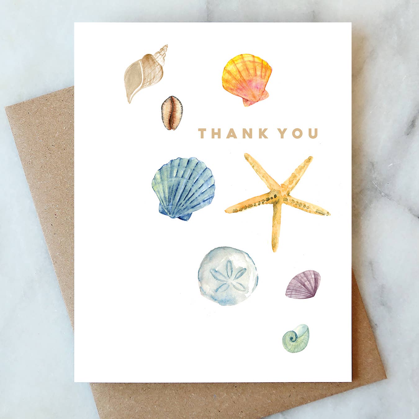 Shells Thank You Card – Merrymaker Fine Paper