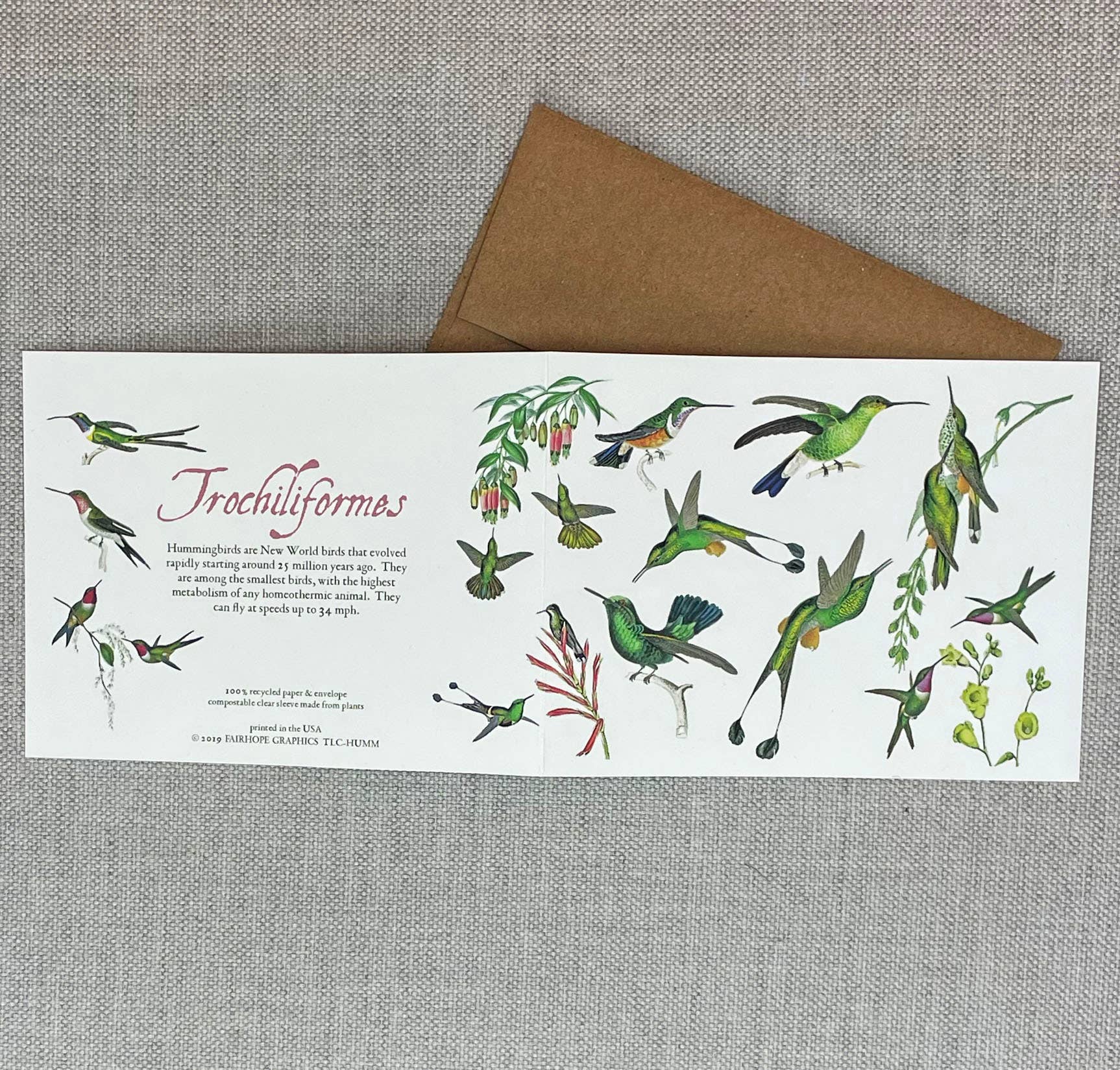 Hummingbirds Card – Merrymaker Fine Paper