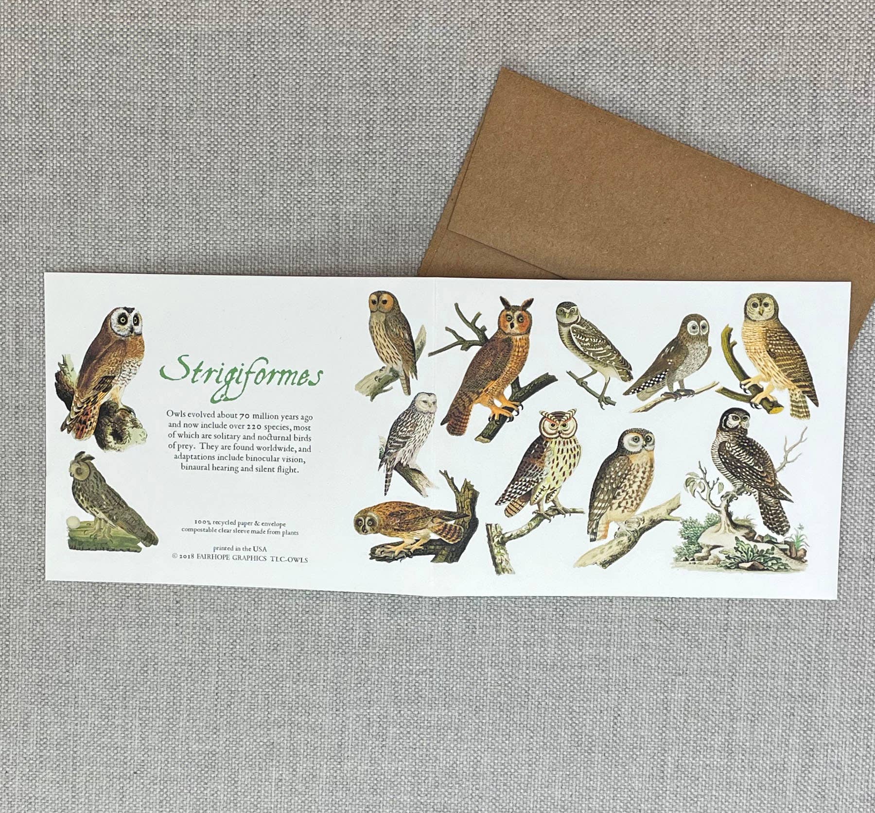 Owls Card – Merrymaker Fine Paper